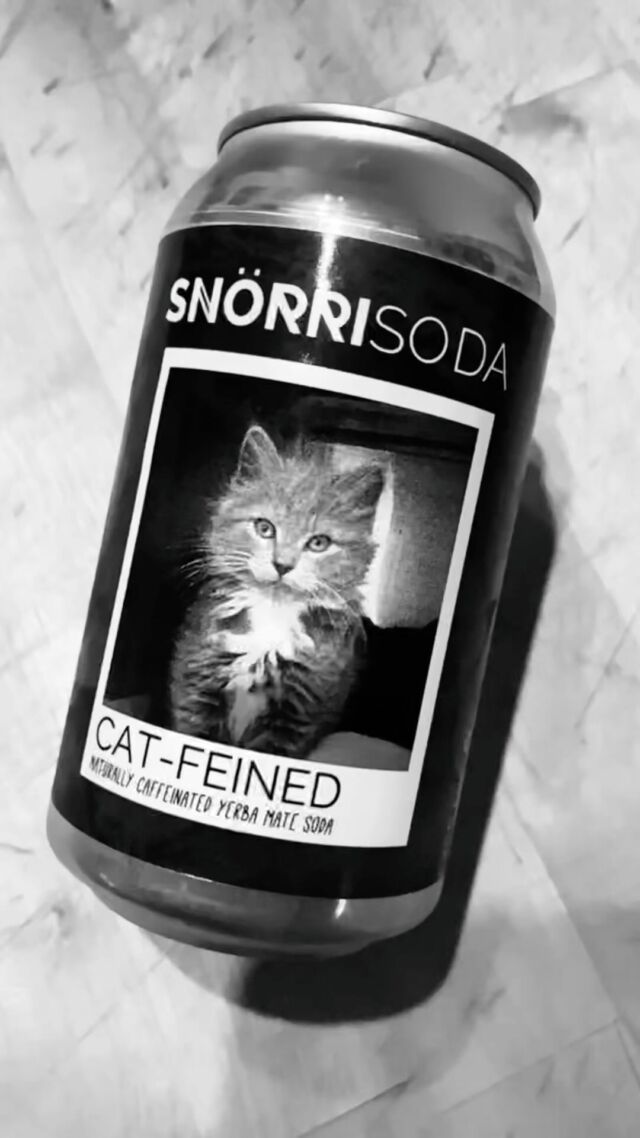 Snorri Soda – Natural Soda Handcrafted in Edmonton